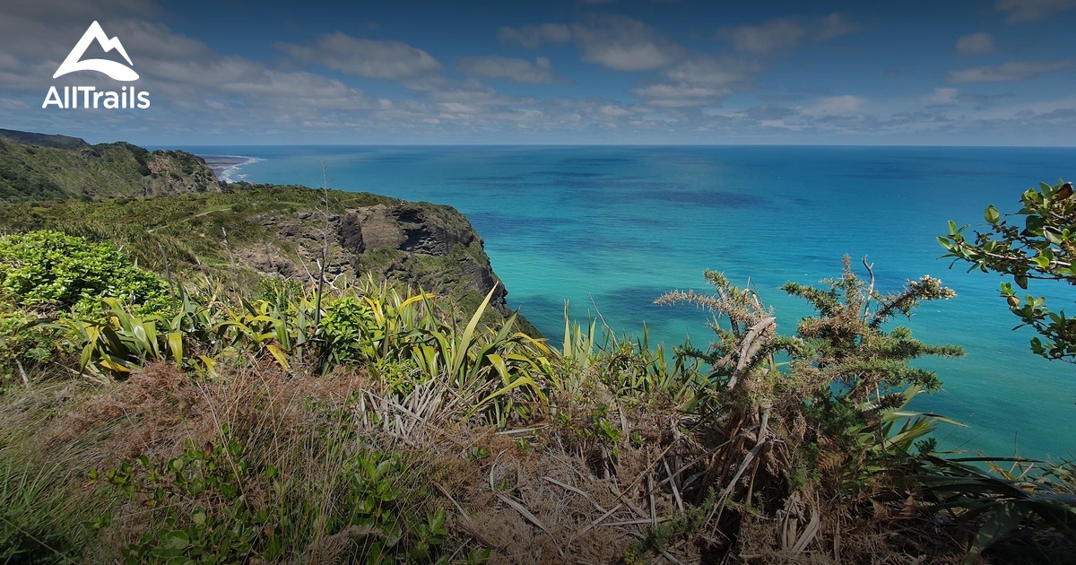 NZ Waitakere Range | List | AllTrails