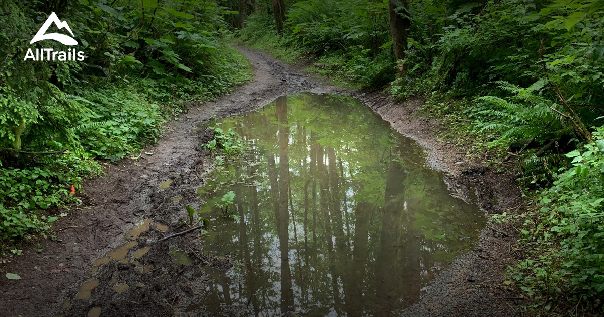 Issaquah nature trails | List | AllTrails