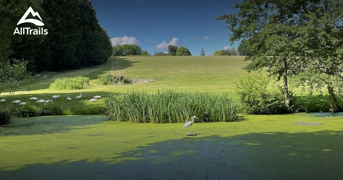 Dedham walks | List | AllTrails