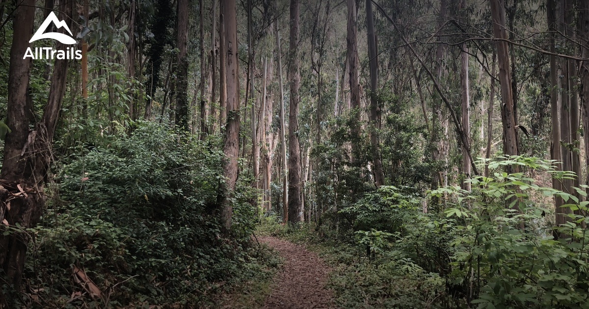 short hikes | List | AllTrails