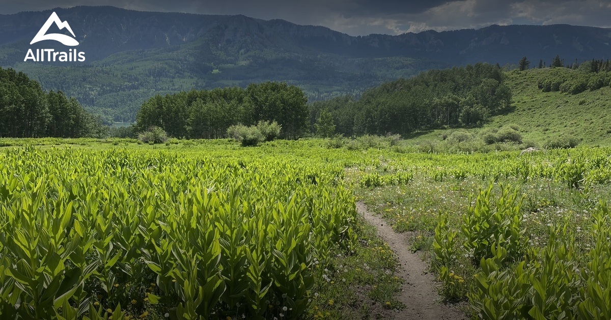 Jackson Guard Station | List | AllTrails