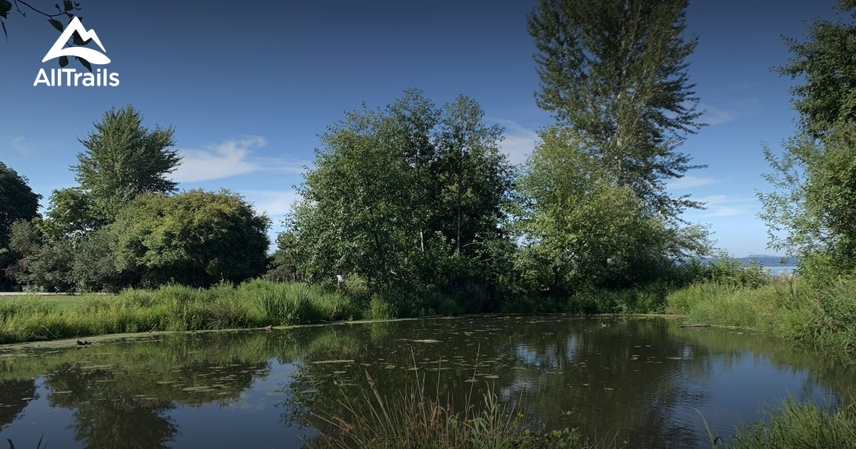 Seattle park trails | List | AllTrails