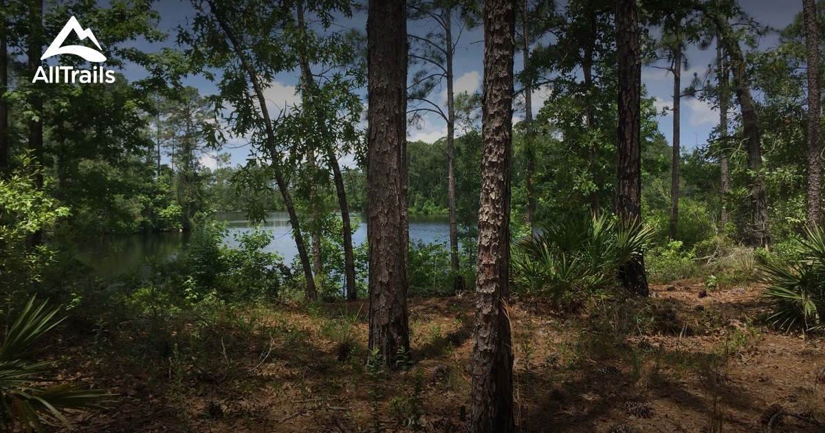 UNF trails | List | AllTrails