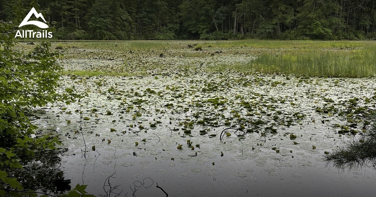 Duck Pond Area | List | AllTrails