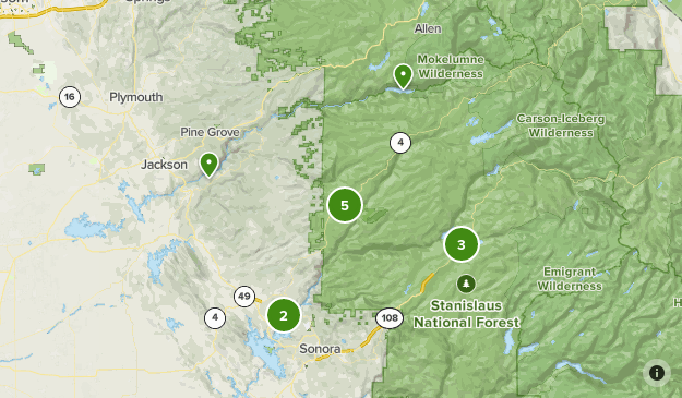 Calaveras Big Tree National Park | List | AllTrails