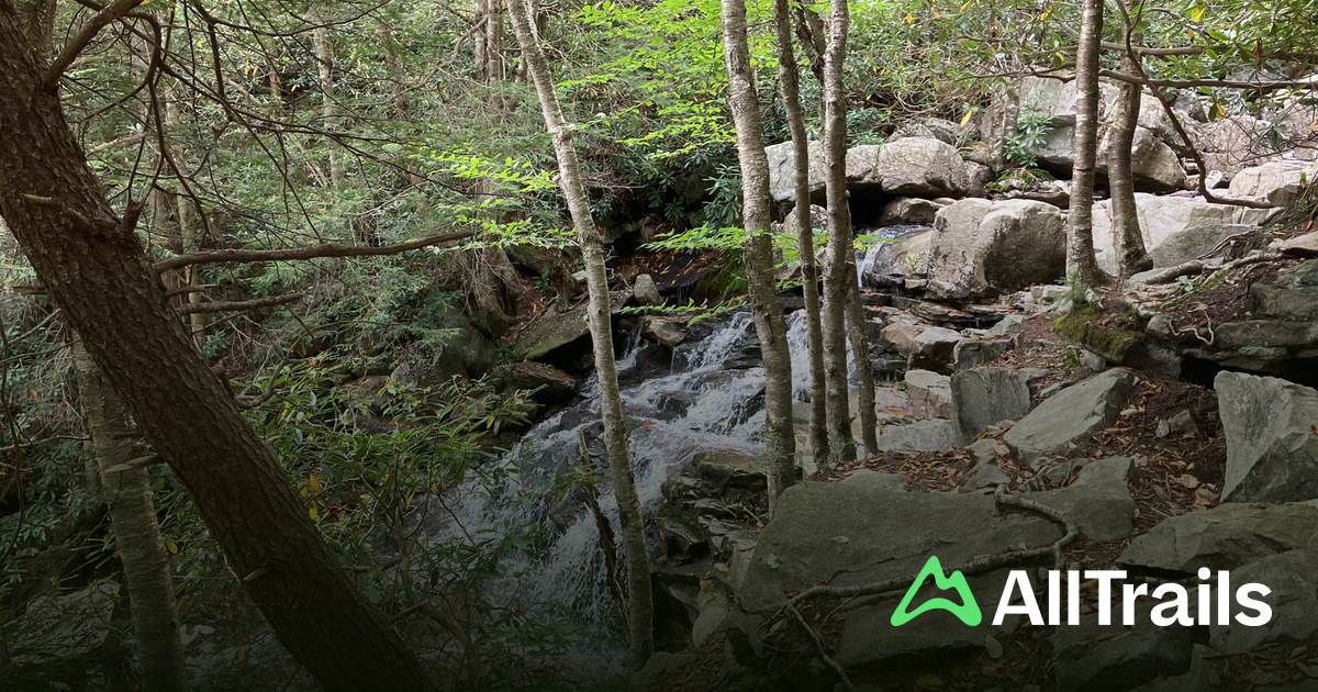 Bear Rocks Preserve | List | AllTrails