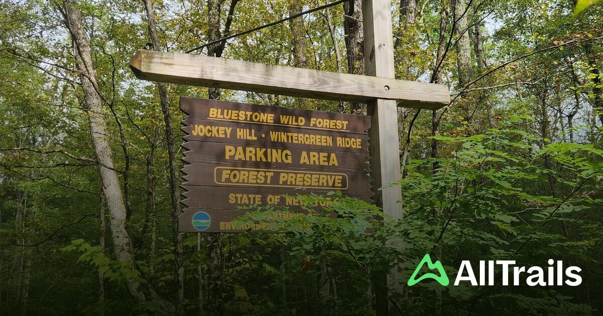 Bluestone Wild Forest | List | AllTrails