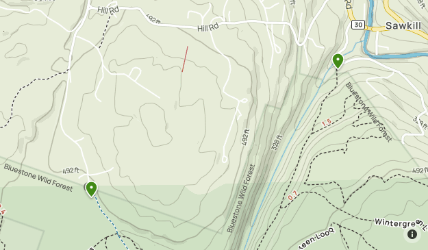 Bluestone Wild Forest | List | AllTrails