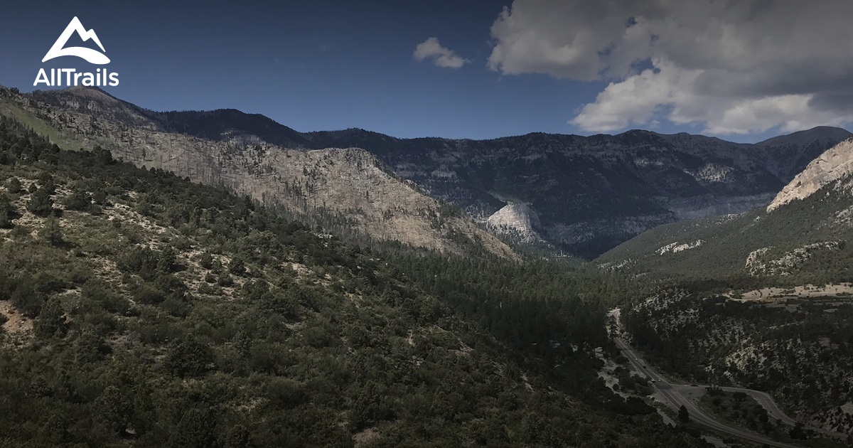 Mt. Charleston Dog trails | List | AllTrails