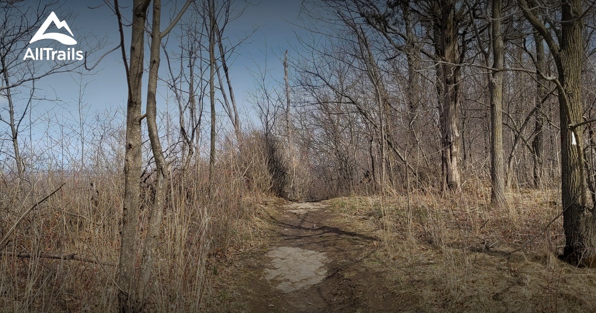 The Bruce Trail Sections | List | AllTrails