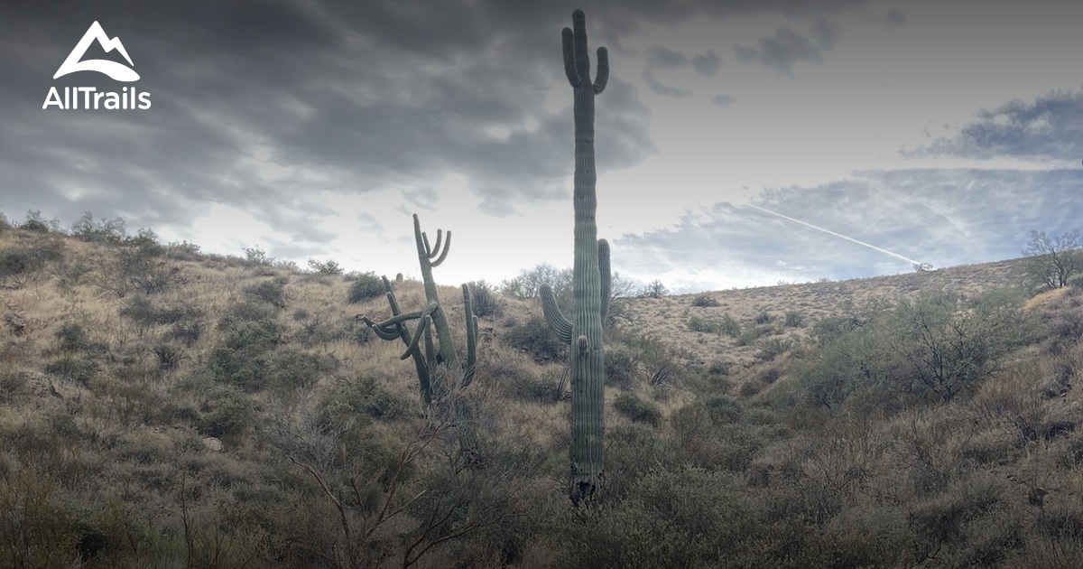 9-mile Loop | List | AllTrails