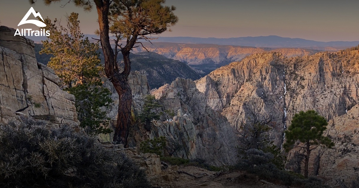 Grand Escalante Area | List | AllTrails