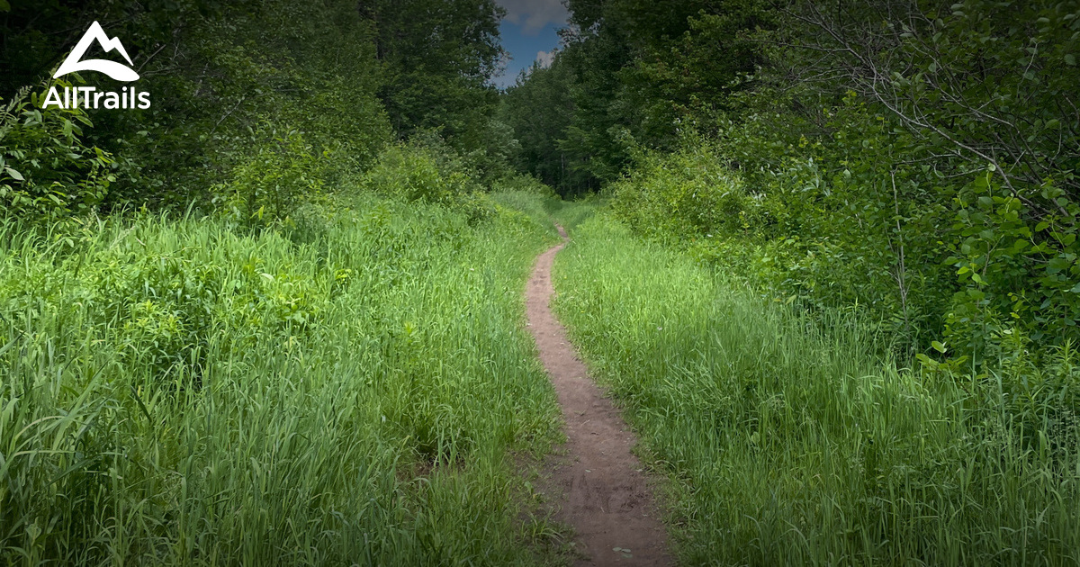 Moncton Vision Lands | List | AllTrails