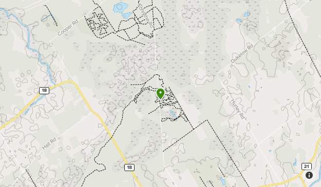 limerick forest | List | AllTrails