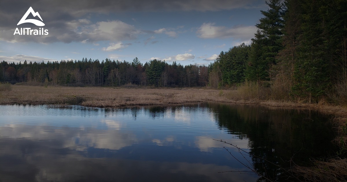 limerick forest | List | AllTrails