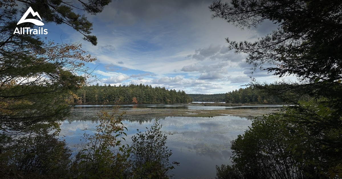 Sunday fun day | List | AllTrails