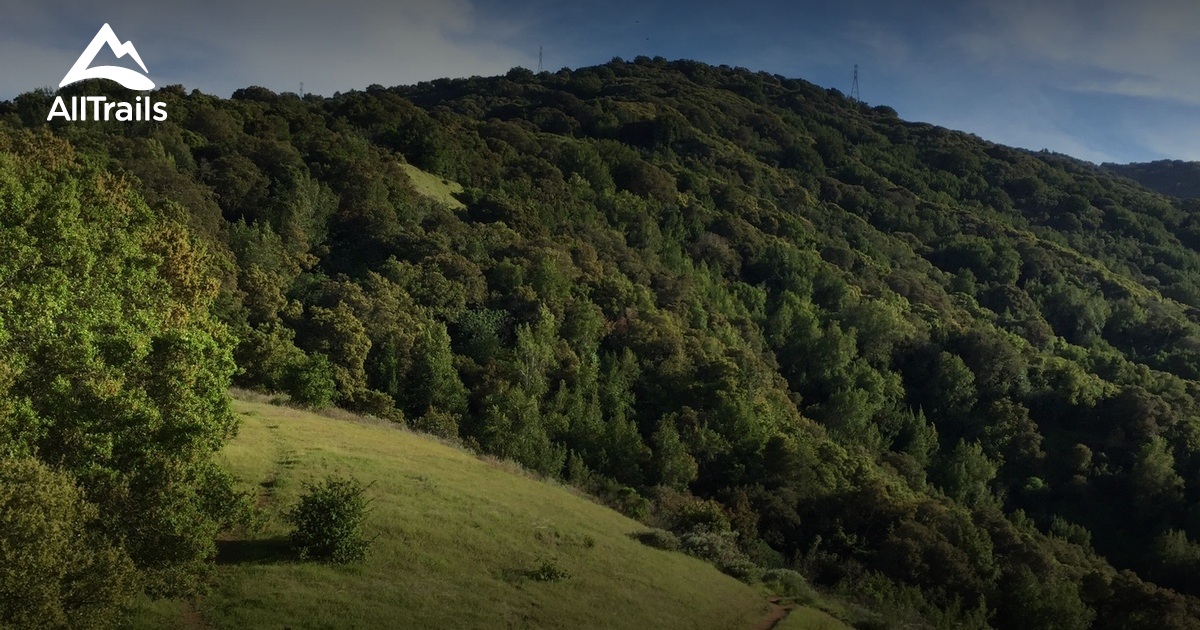 Ewing Loop - Moody Road | List | AllTrails