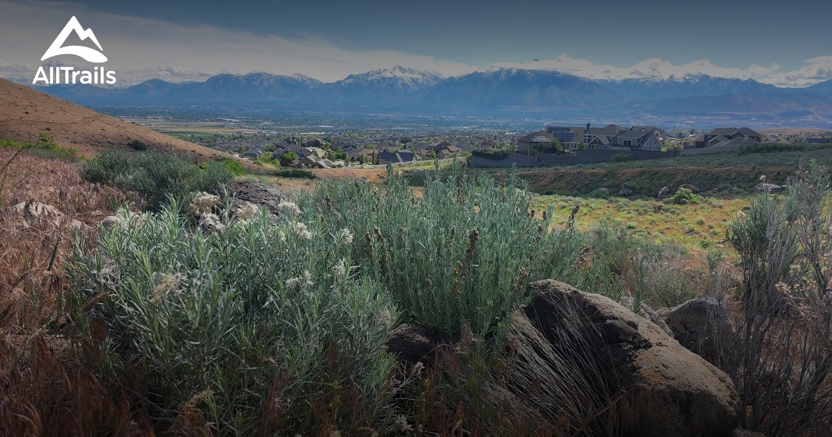 Camp Williams | List | AllTrails