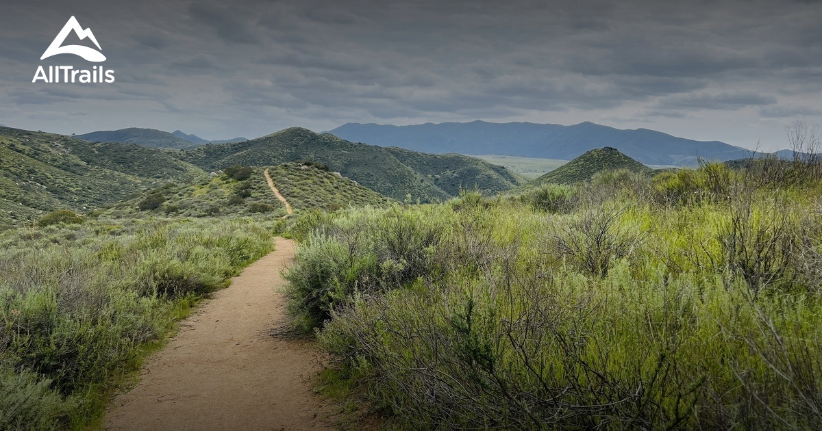 Wild Seeds | List | AllTrails