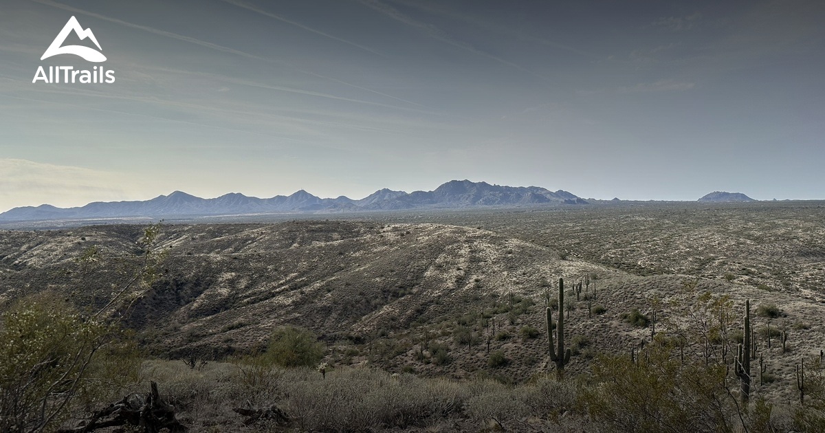 McDowell Mountain Regional Park | List | AllTrails
