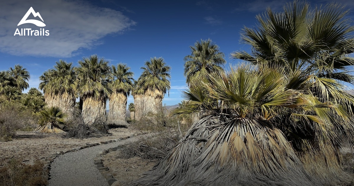 Glamis / Salton Sea | List | AllTrails