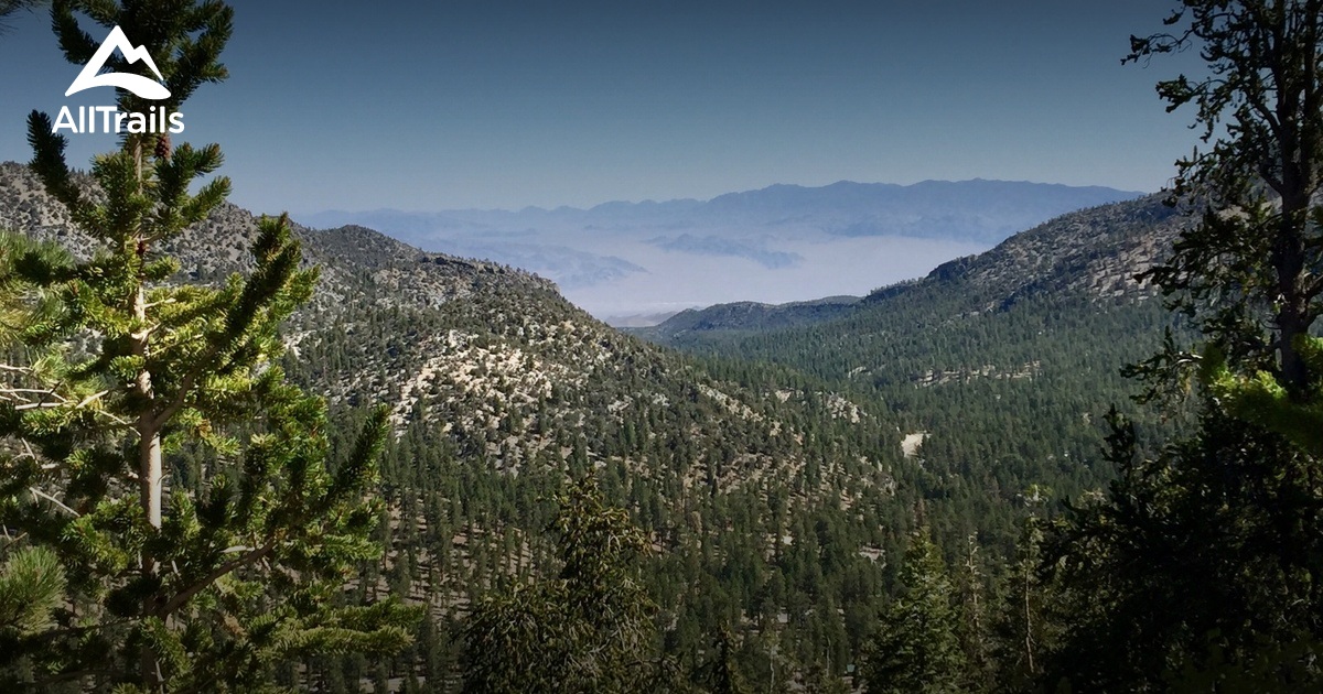 Mt Charleston Bike | List | AllTrails