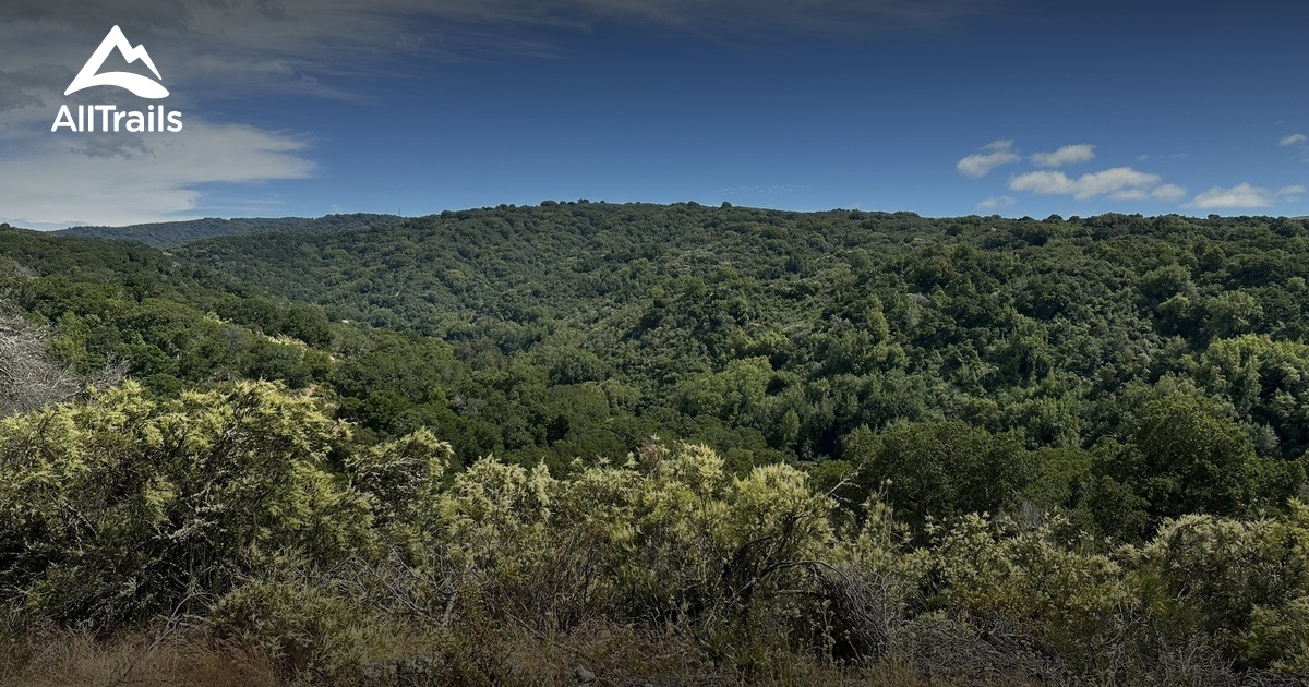 Foothills park in Palo Alto | List | AllTrails