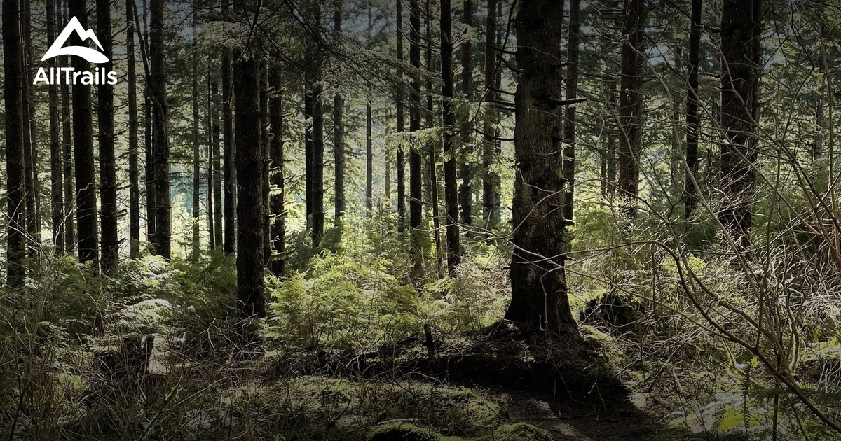 Hiking Trails, Capital Forest | List | AllTrails