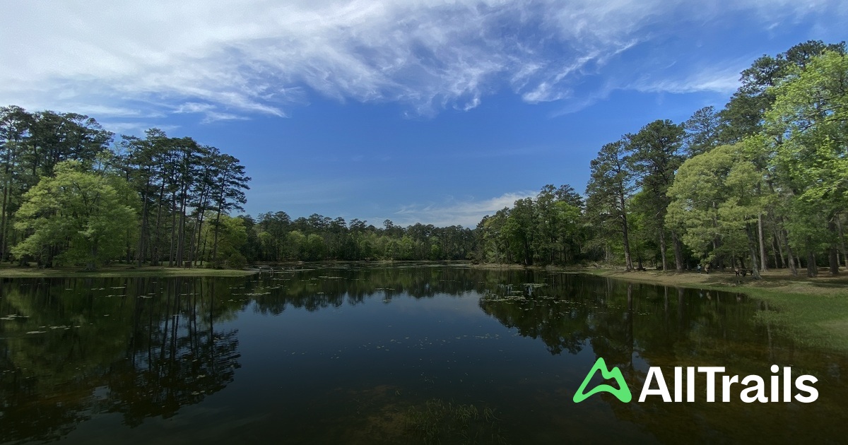 Double Lake Recreation Area @ Sam Houston State Park | List | AllTrails