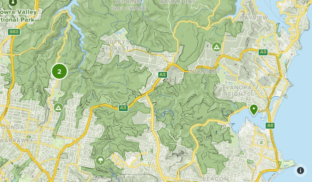 Kuringai chase national park | List | AllTrails