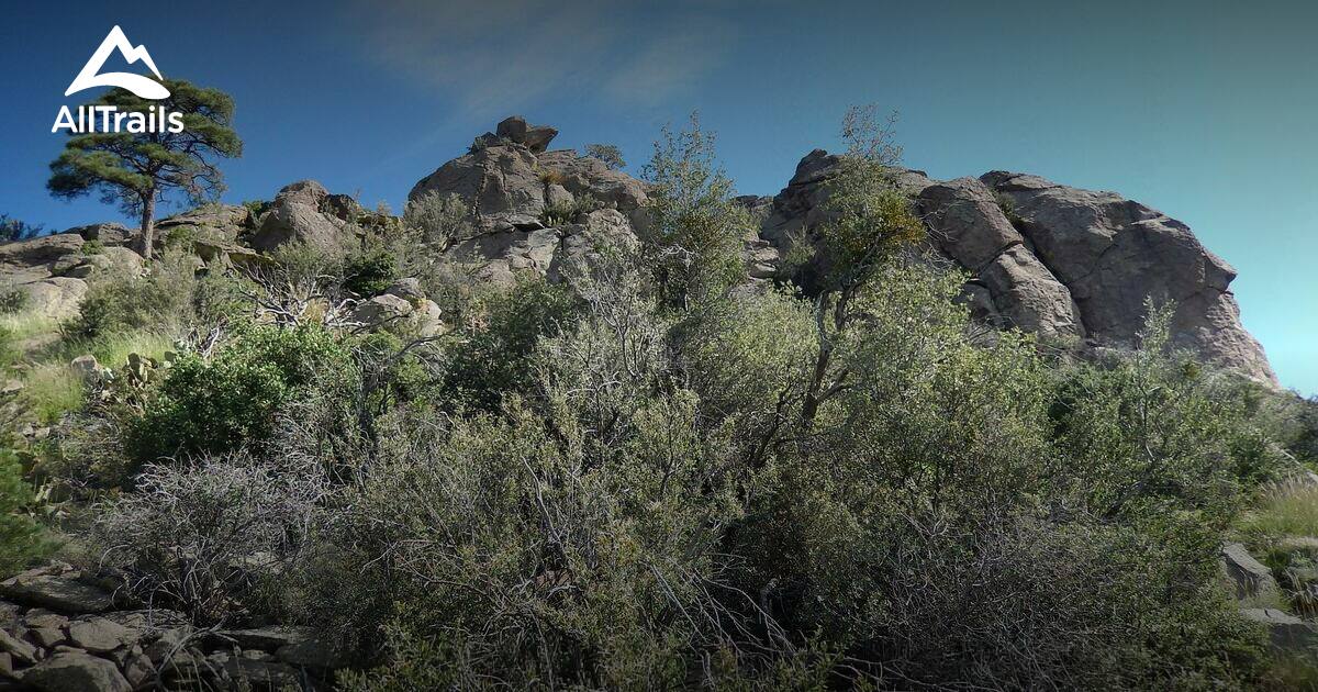 Tewantin National Park | List | AllTrails