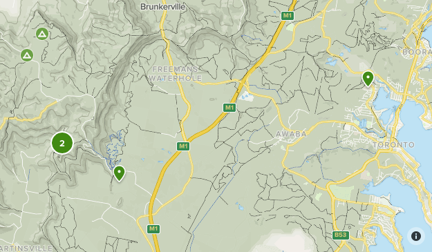 Watagan National park near Toronto | List | AllTrails