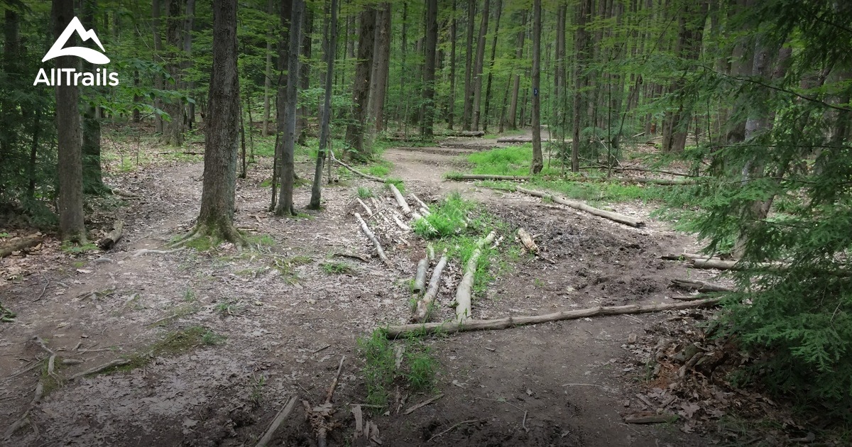 Buffalo to-do Trails | List | AllTrails