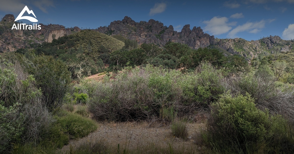 Pinnacles National Forest to go | List | AllTrails