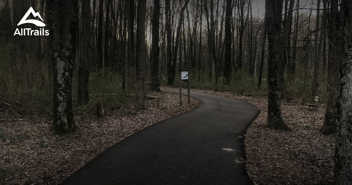 Misty trail | List | AllTrails