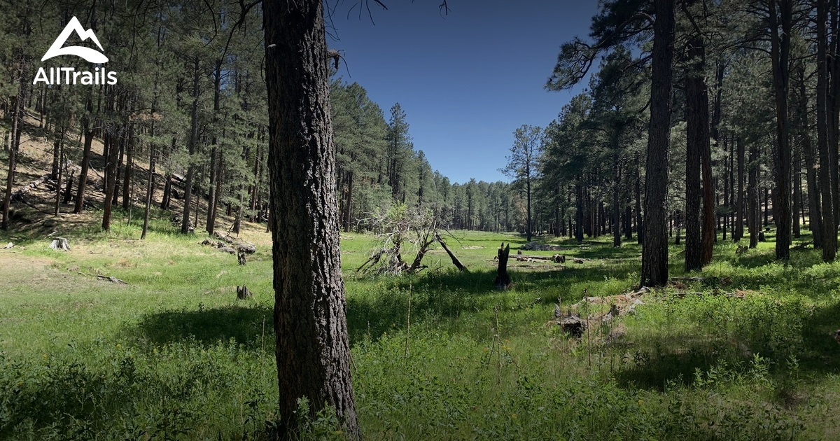 unit 4a | List | AllTrails