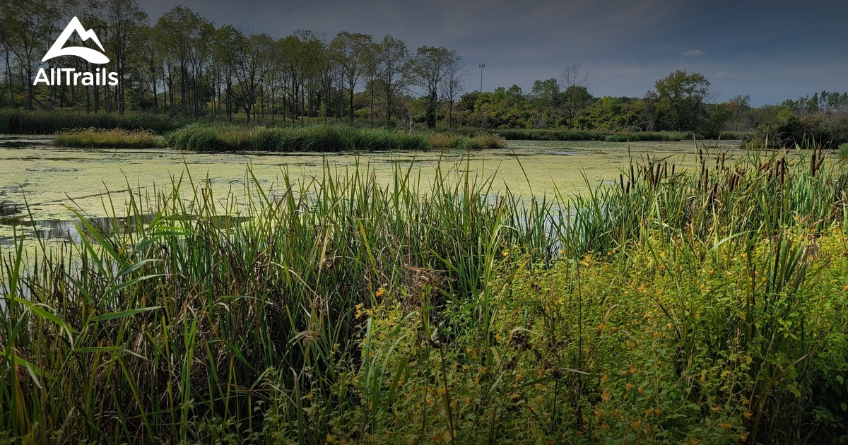 Lake Erie Metropark | List | AllTrails