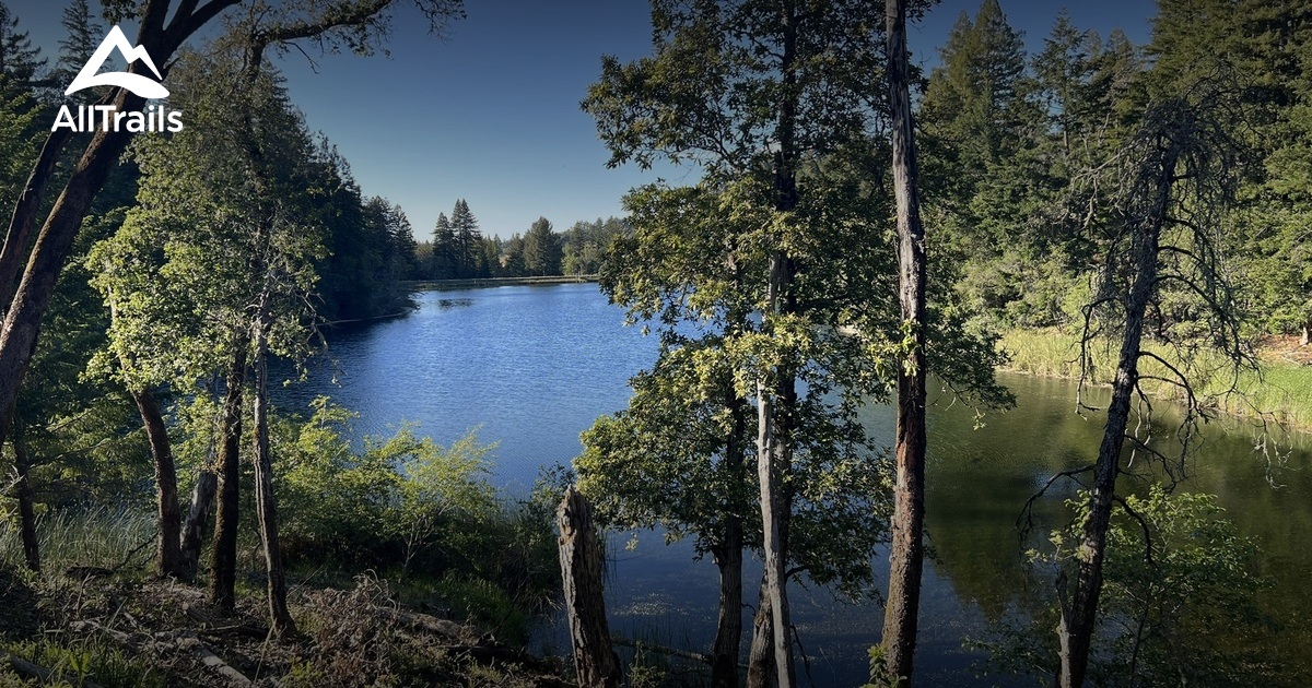 lake Lagunitas | List | AllTrails