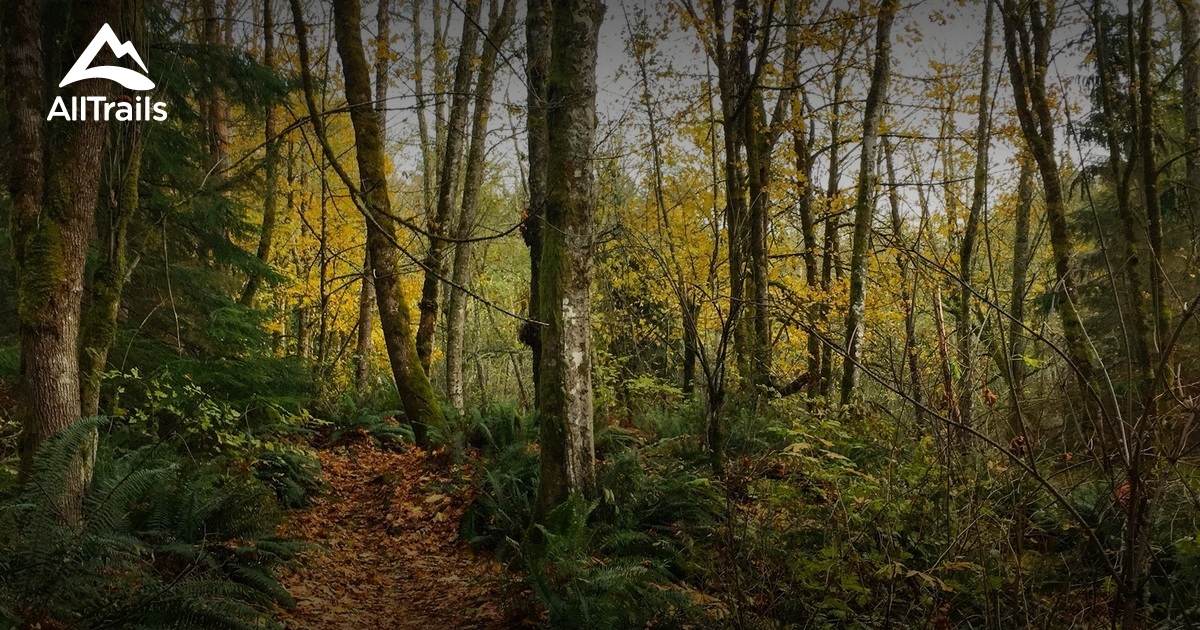 Issaquah Alps Trails | List | AllTrails