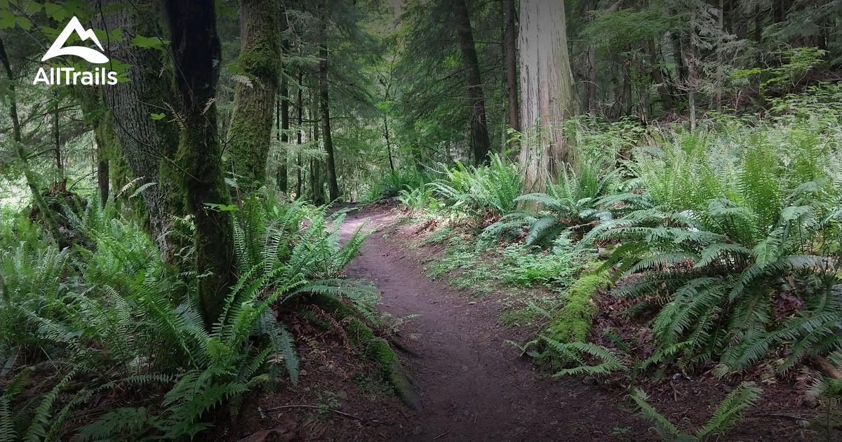 Issaquah Alps Trails | List | AllTrails