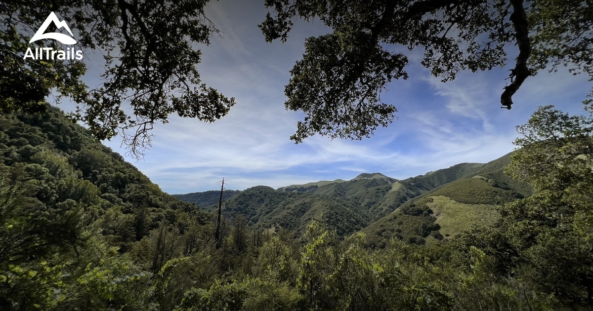 Big Sur | List | AllTrails