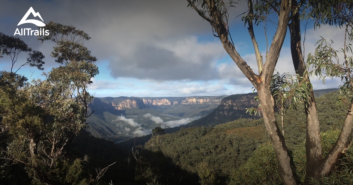 Bilpin trip 2021 | List | AllTrails