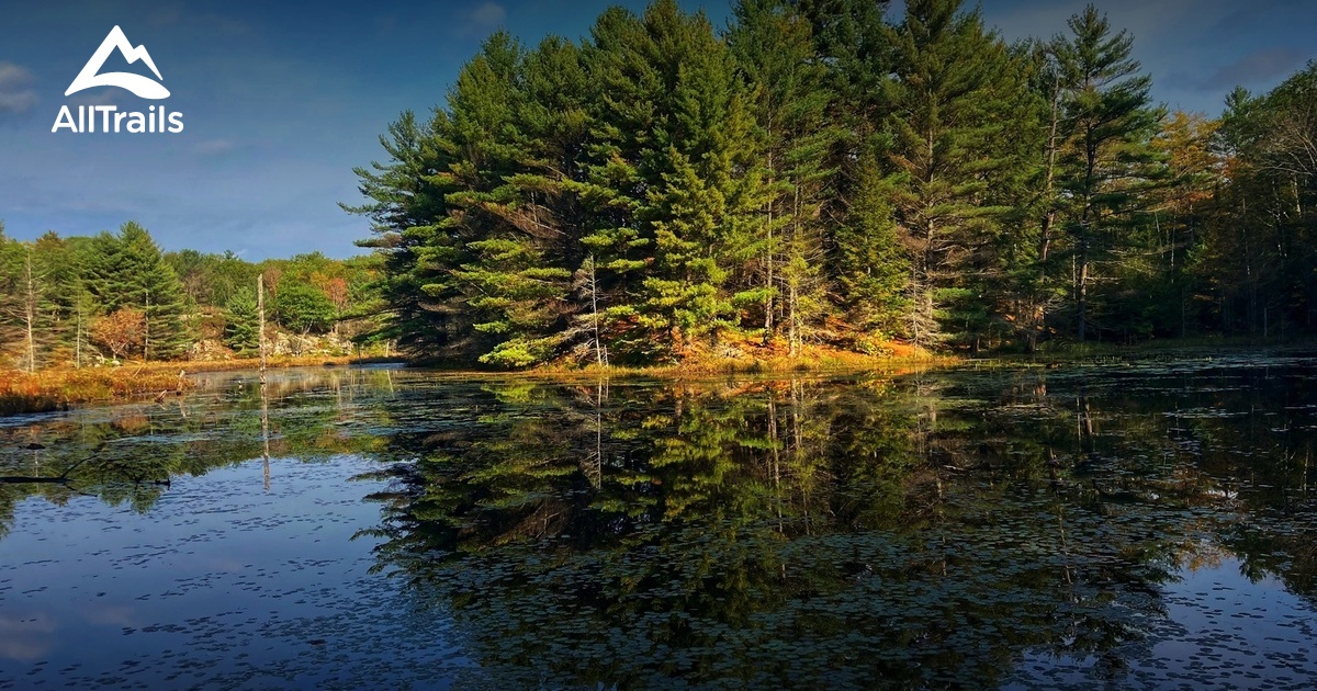 McCrae Lake Trail | List | AllTrails