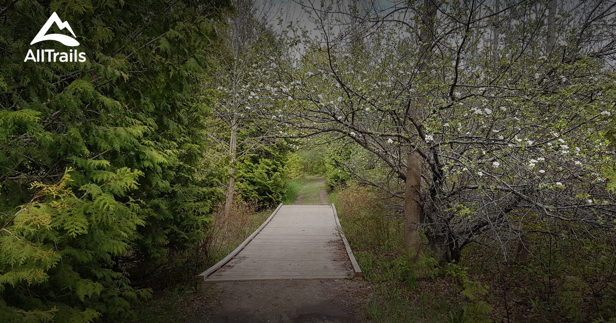 Tin Roof Trails | List | AllTrails