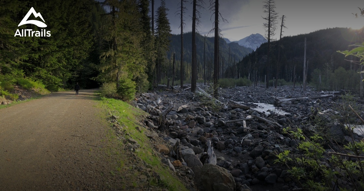 Mt Rainier (Longmire Entrance) | List | AllTrails