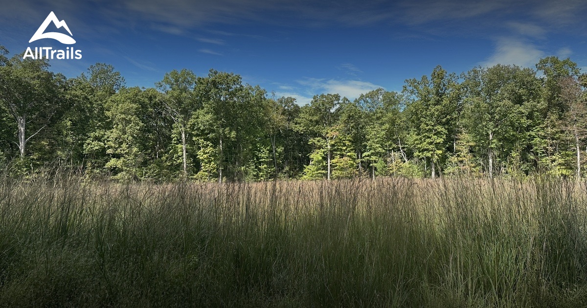 Lake Anna | List | AllTrails