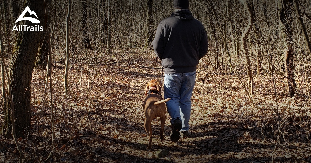 Auburn Lookout | List | AllTrails