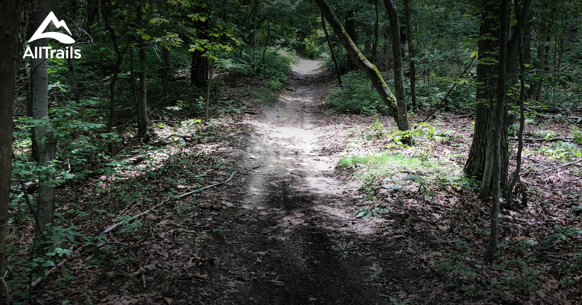 Park street hidden trail | List | AllTrails