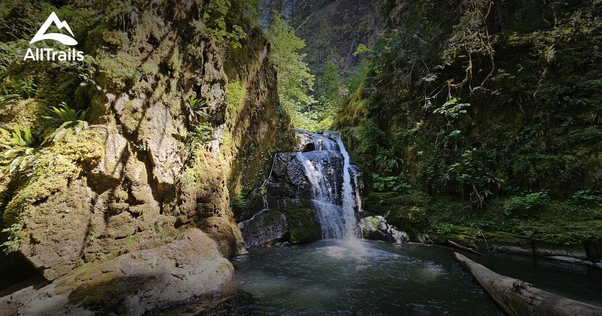 Oregon - Wildlife Safari | List | AllTrails