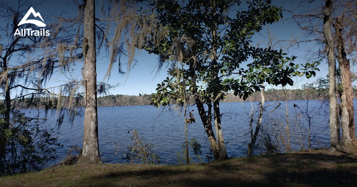 Tally Area Hikes to Try | List | AllTrails